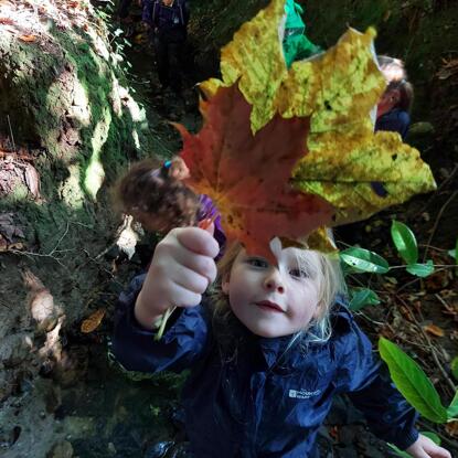 Kingsley School | Independent Day and Boarding School